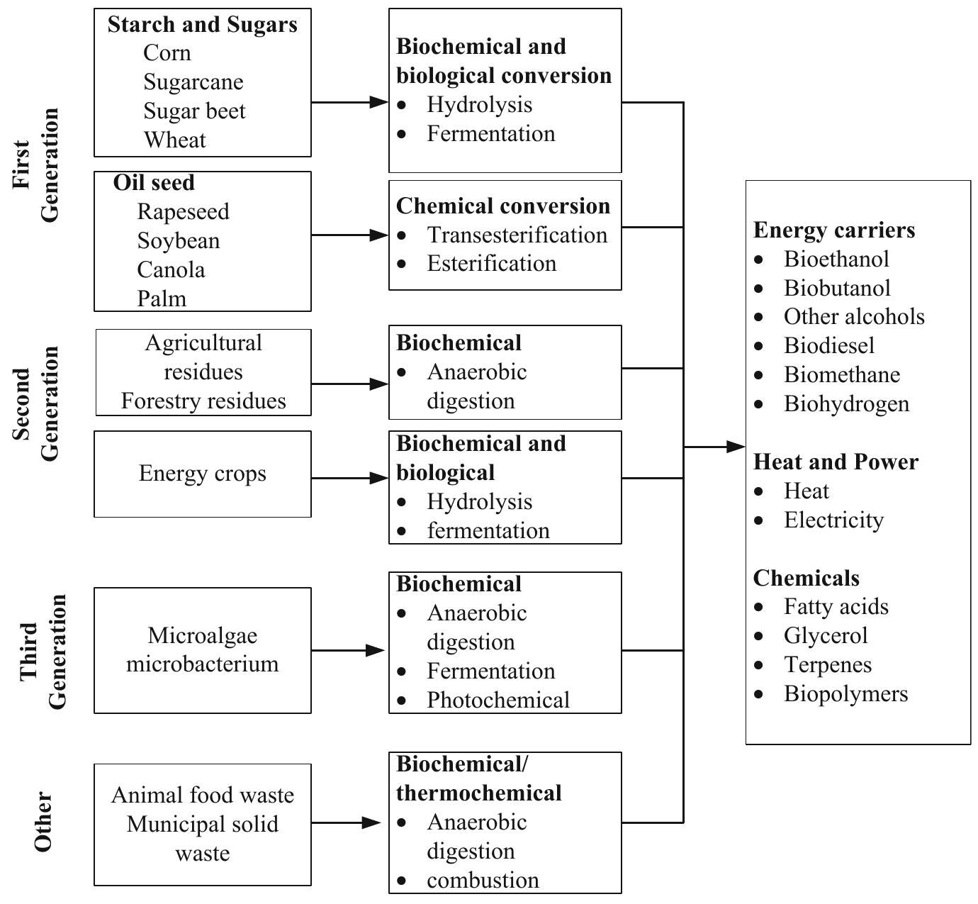 5 biomass feedstock for biofuel production, current