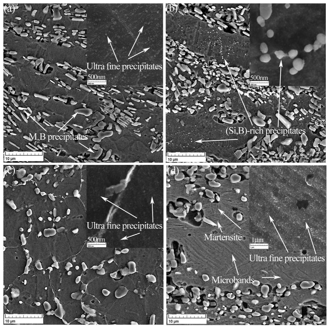 Fesem micrographs of the hot rolled fc specimens: (a,b)