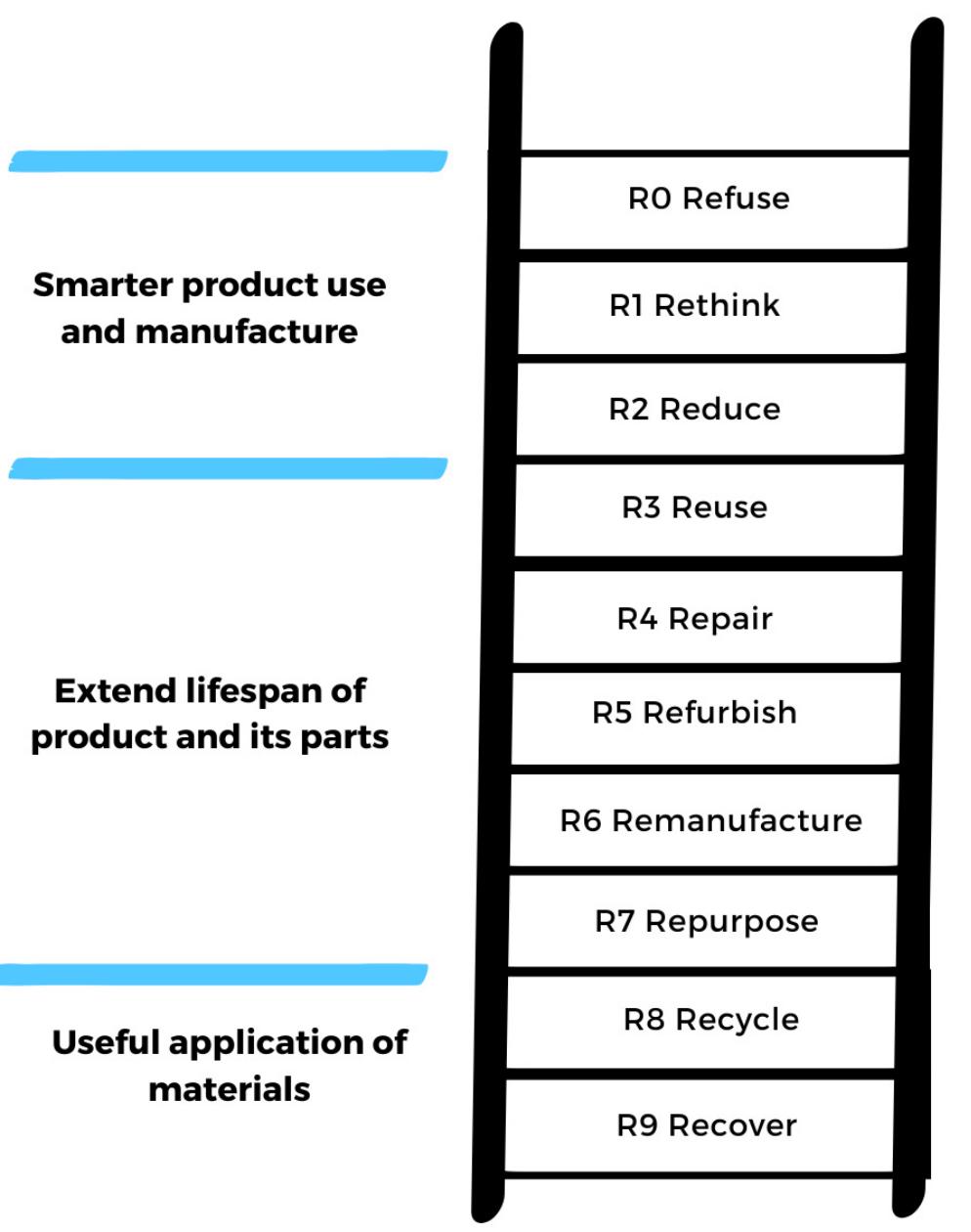The different stages of r strategies (adapted from larae,