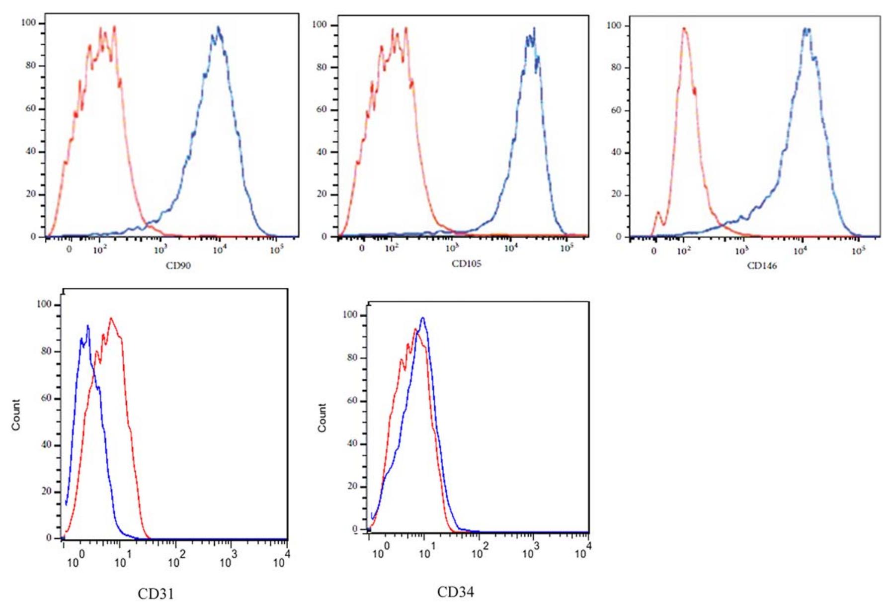 Flow cytometry diagrams of isolated henscs. the diagrams are