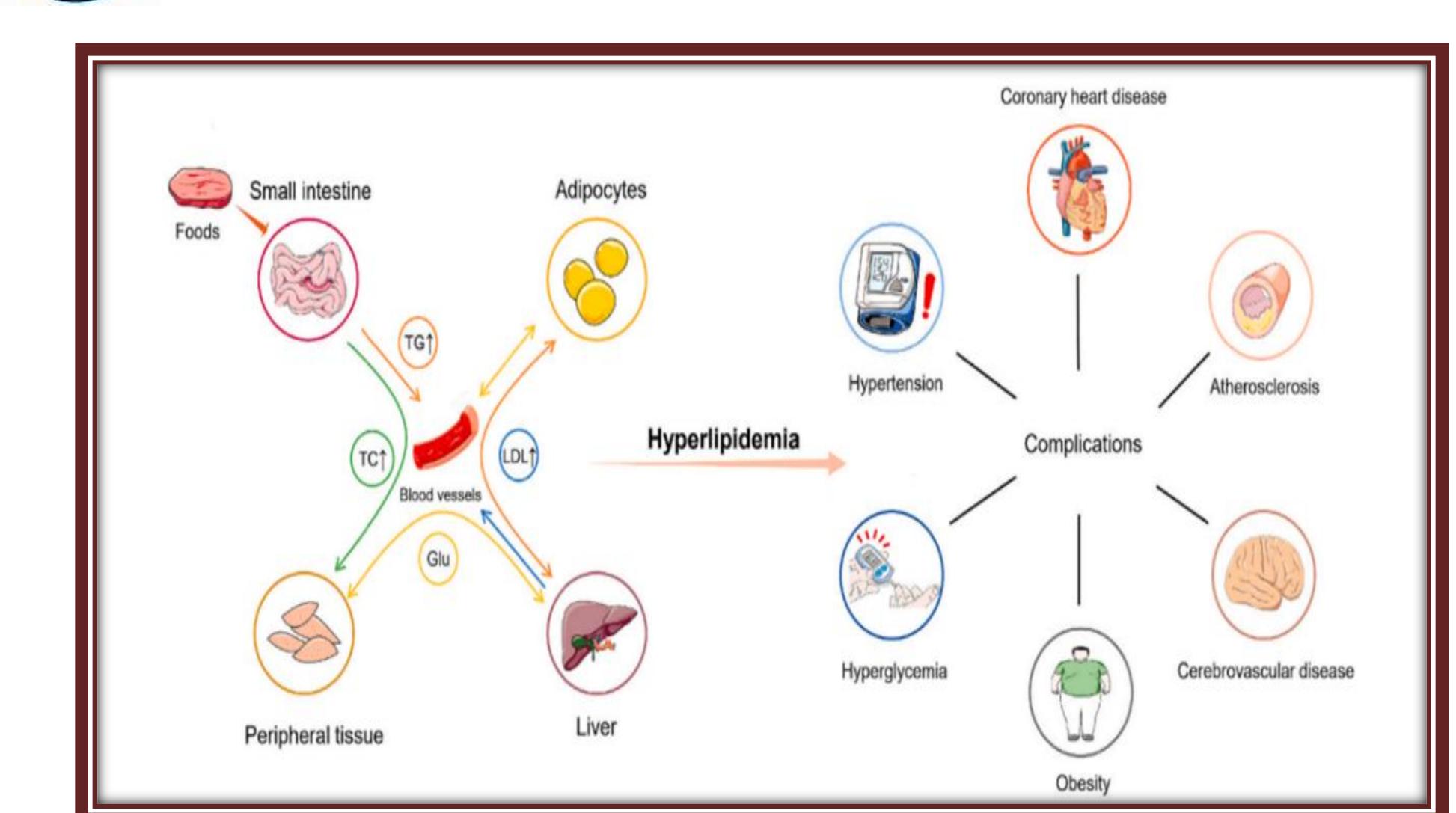 (PDF) Comprehensive Review of Hyperlipidemia: Pathophysiology ...