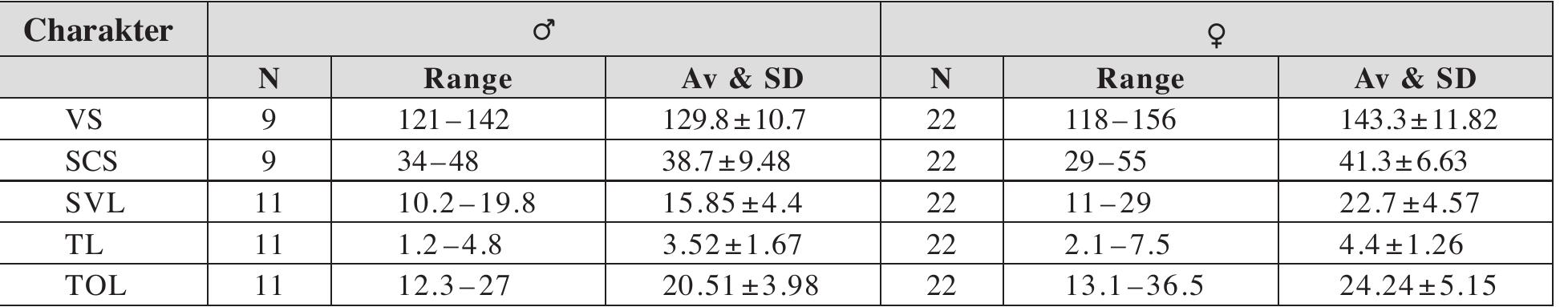 Common name. crowned dwarf snake, crowned peace snake.