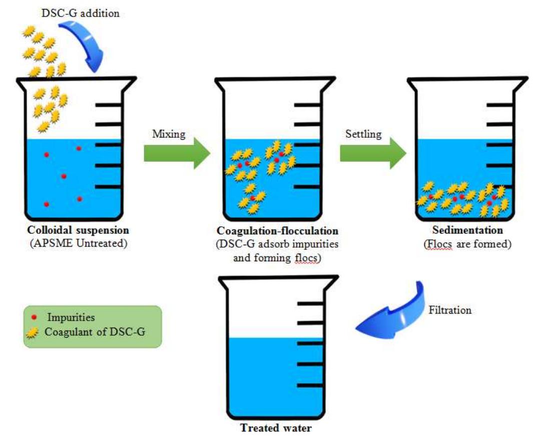 Illustration of coagulation-flocculation treatment of apsme