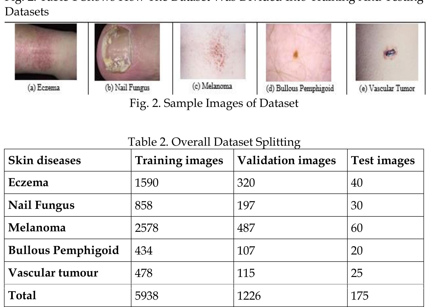 Figure 2 - Enhanced Skin Disease Detection and