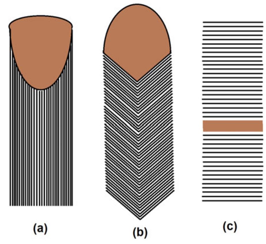 These types of layering growth mechanism of cnf depend on