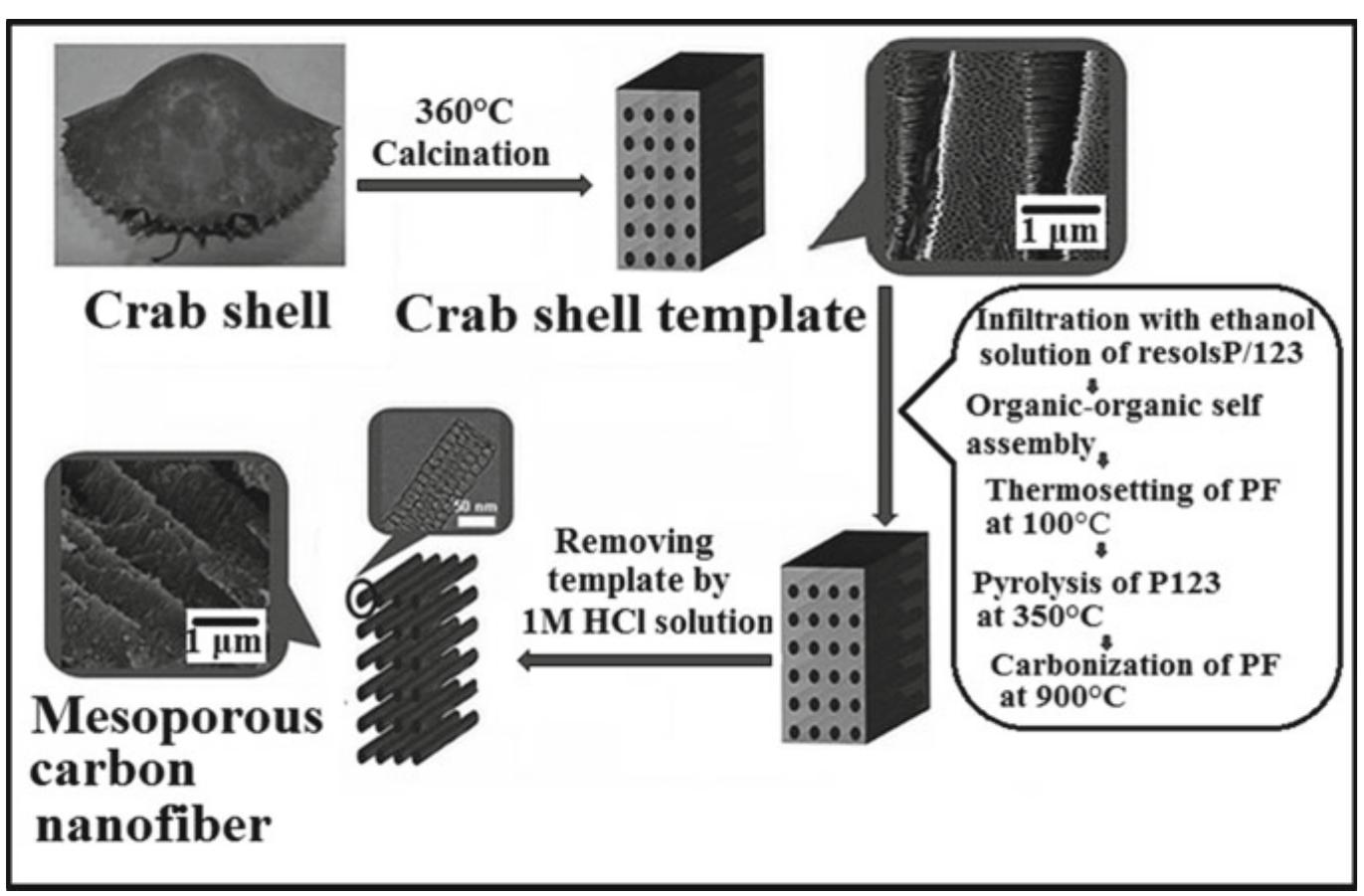 12 schematic representation of the preparation steps of