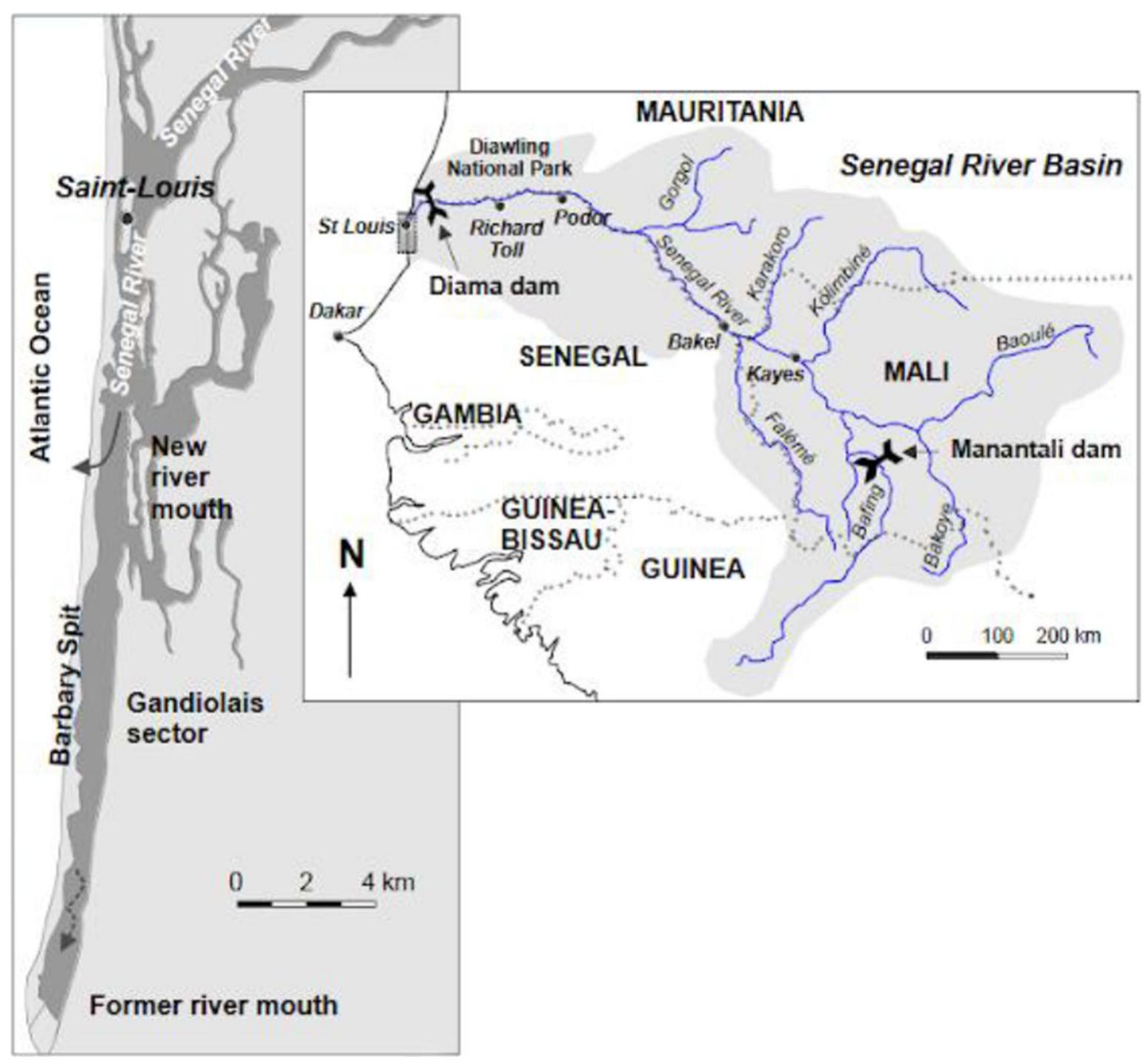 Particular issue. from senegal across the gulf of guinea to
