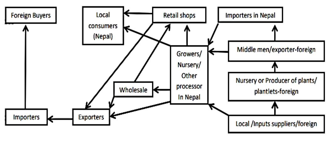 11. value chain map of floriculture products