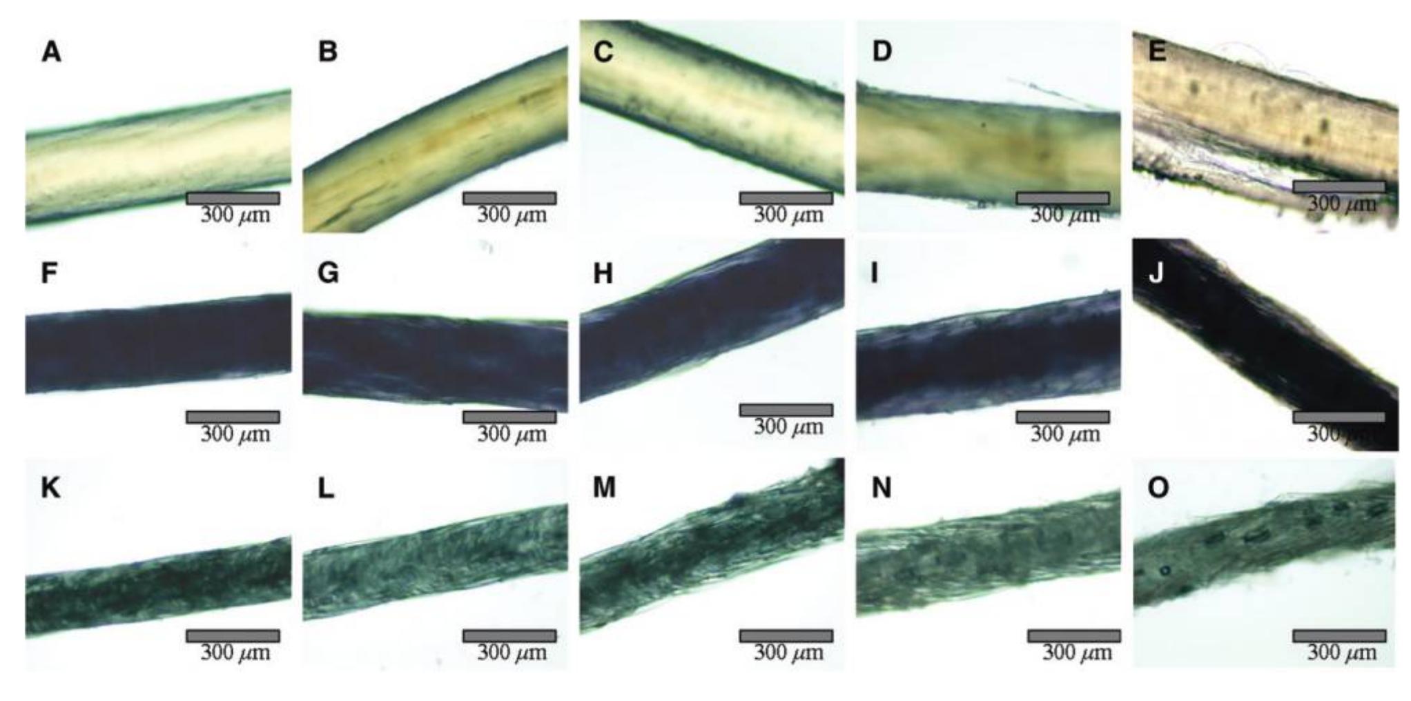 Photomicrographs of the resorption of the suture samples. a