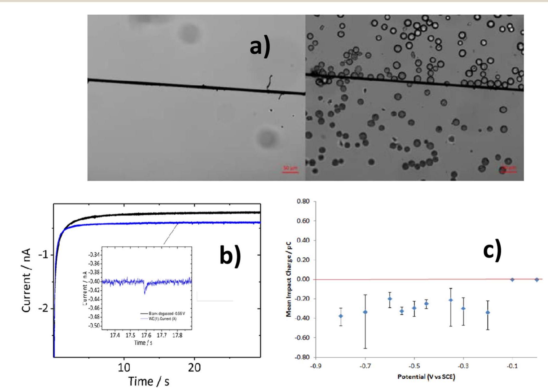 Sem images for the carbon fiber electrode with and without