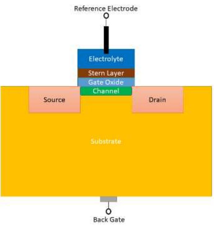 Schematic structure of isfet the structure of an isfet