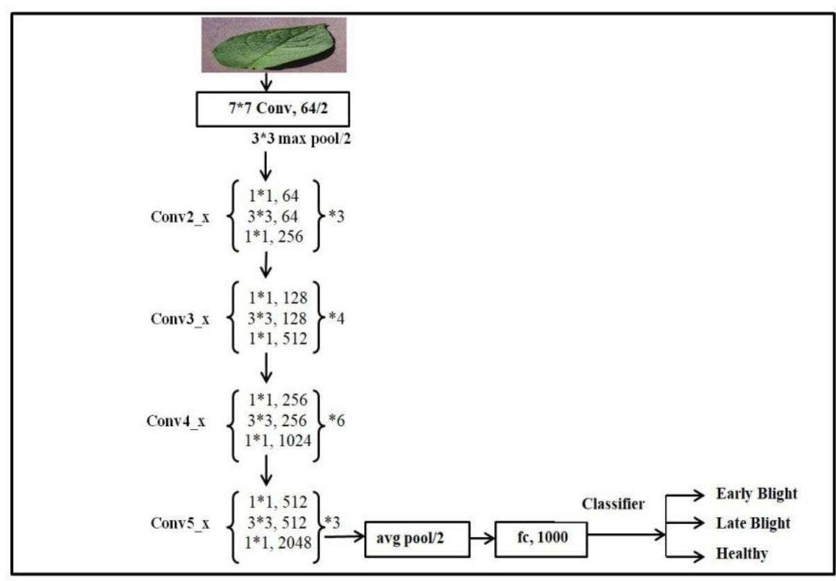 Working model of resnet-50 for detection and classification