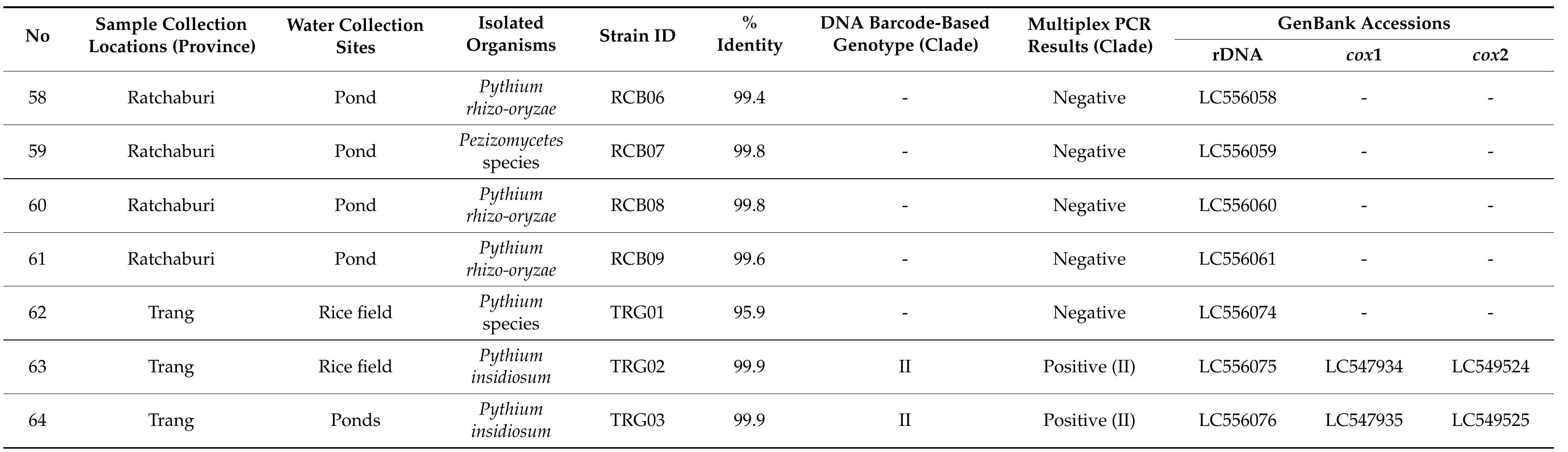 Table 8 - Identification and Biotyping of Pythium insidiosum