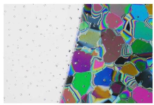 Figure 6 - from The Ice Time Project: Tessering the Space