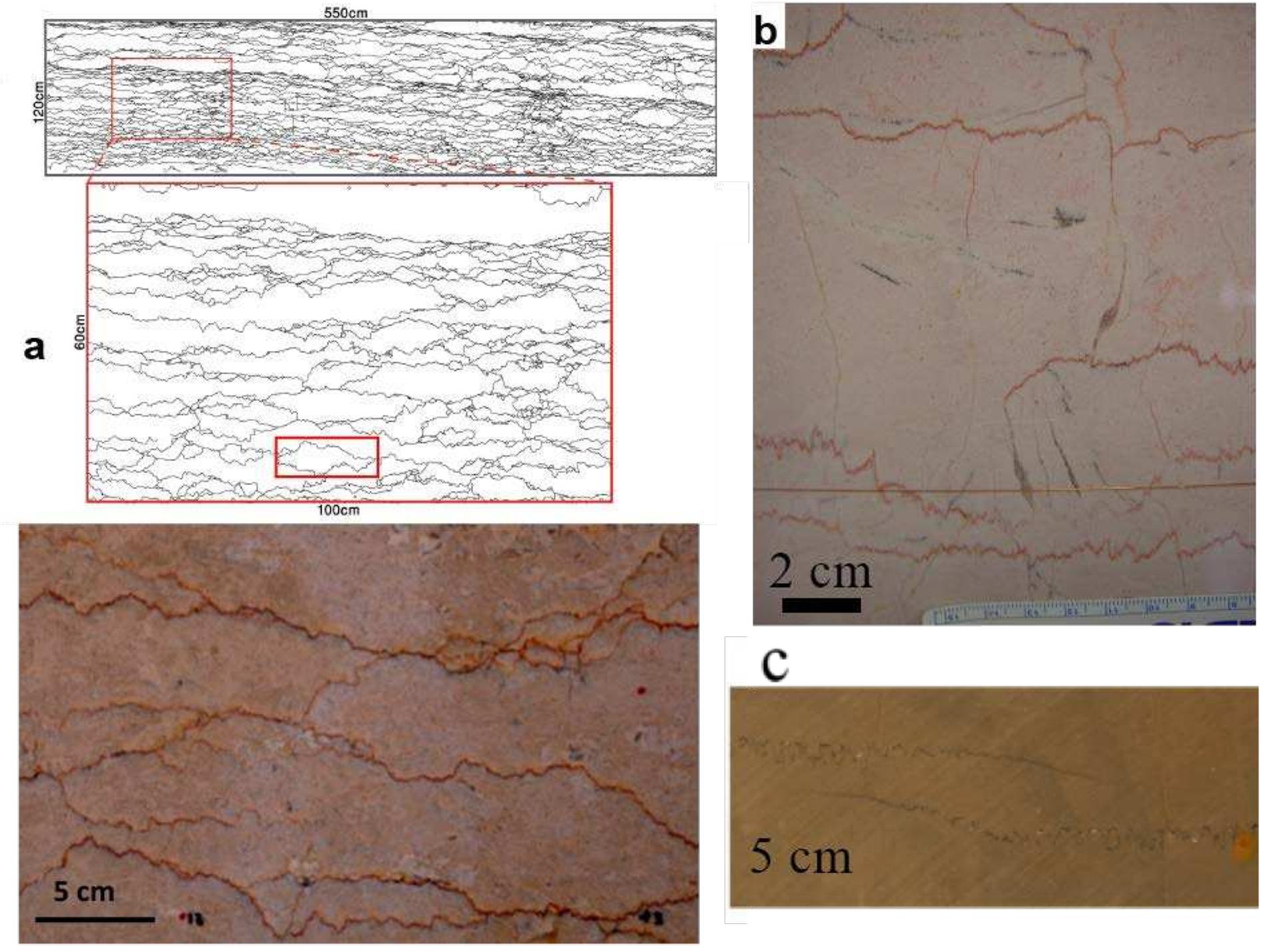 (PDF) Stylolites: A review