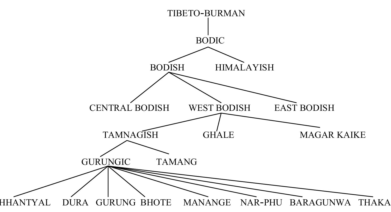 (PDF) LANGUAGES OF NEPAL IN THE 2021 CENSUS AN OVERVIEW