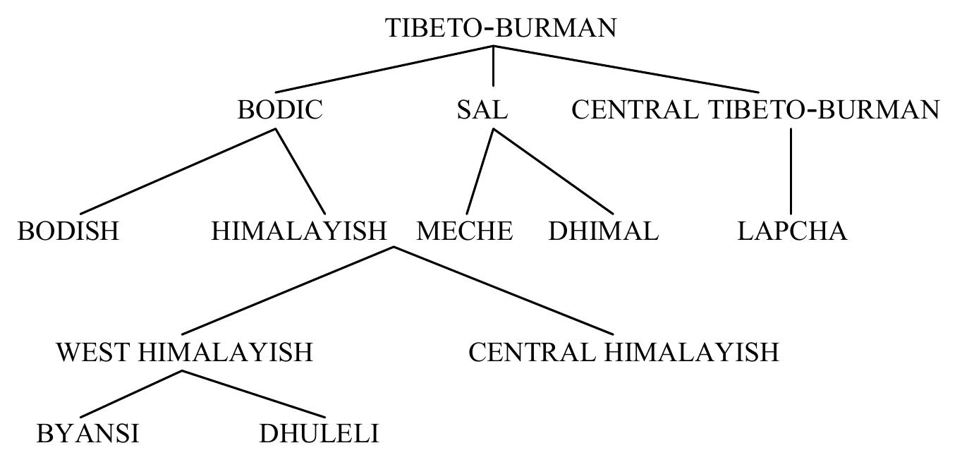 (PDF) LANGUAGES OF NEPAL IN THE 2021 CENSUS AN OVERVIEW