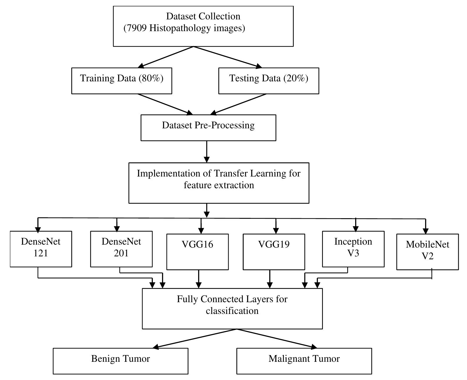 Flow diagram of the transfer learning-based histopathology