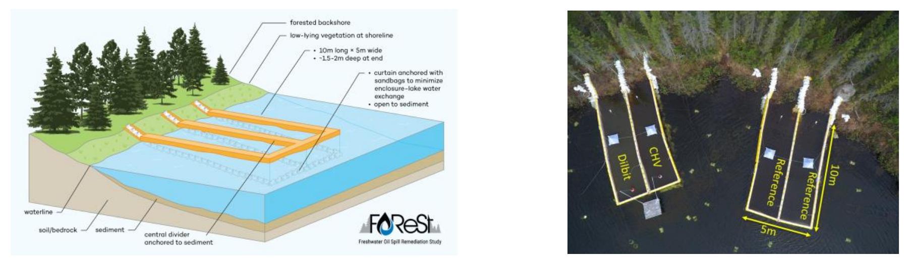Schematic cross-sectional view of a shoreline enclosure