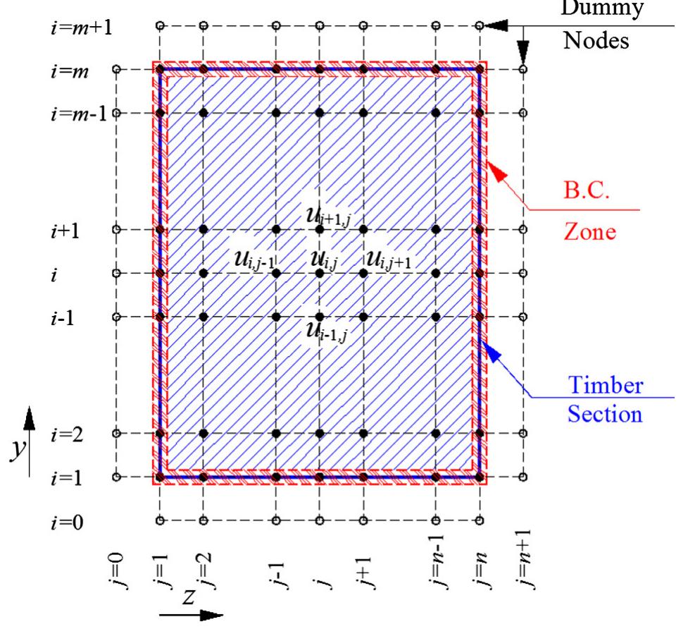 Discretised timber section and boundary condition zone.