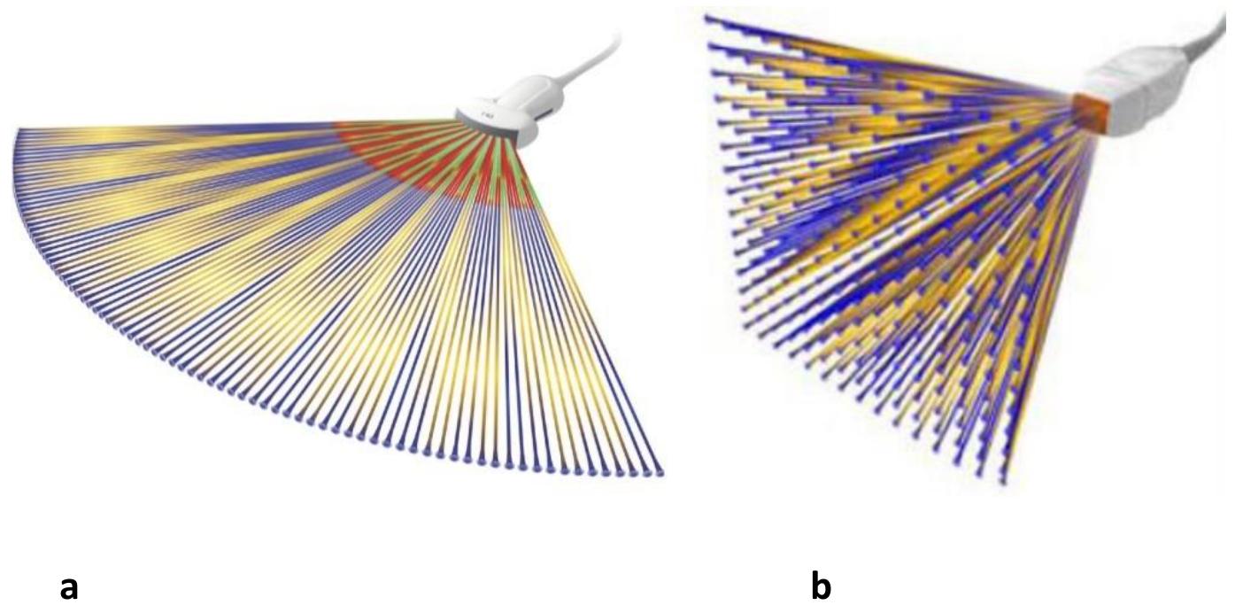 5 image depicting the dispersion of ultrasound beams