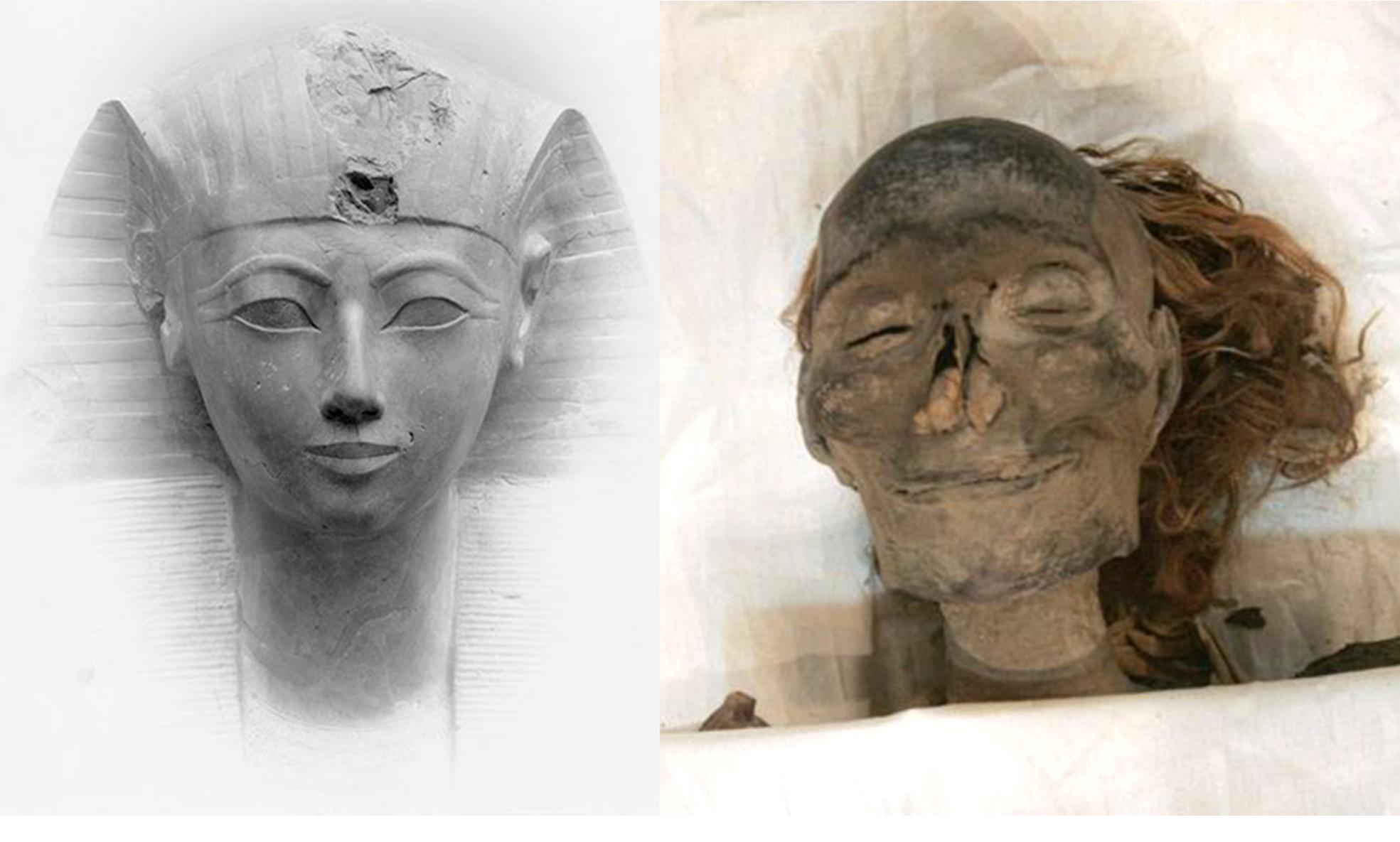 (PDF) Queen Hatshepsut's revealing inscription on the walls of the Hut ...