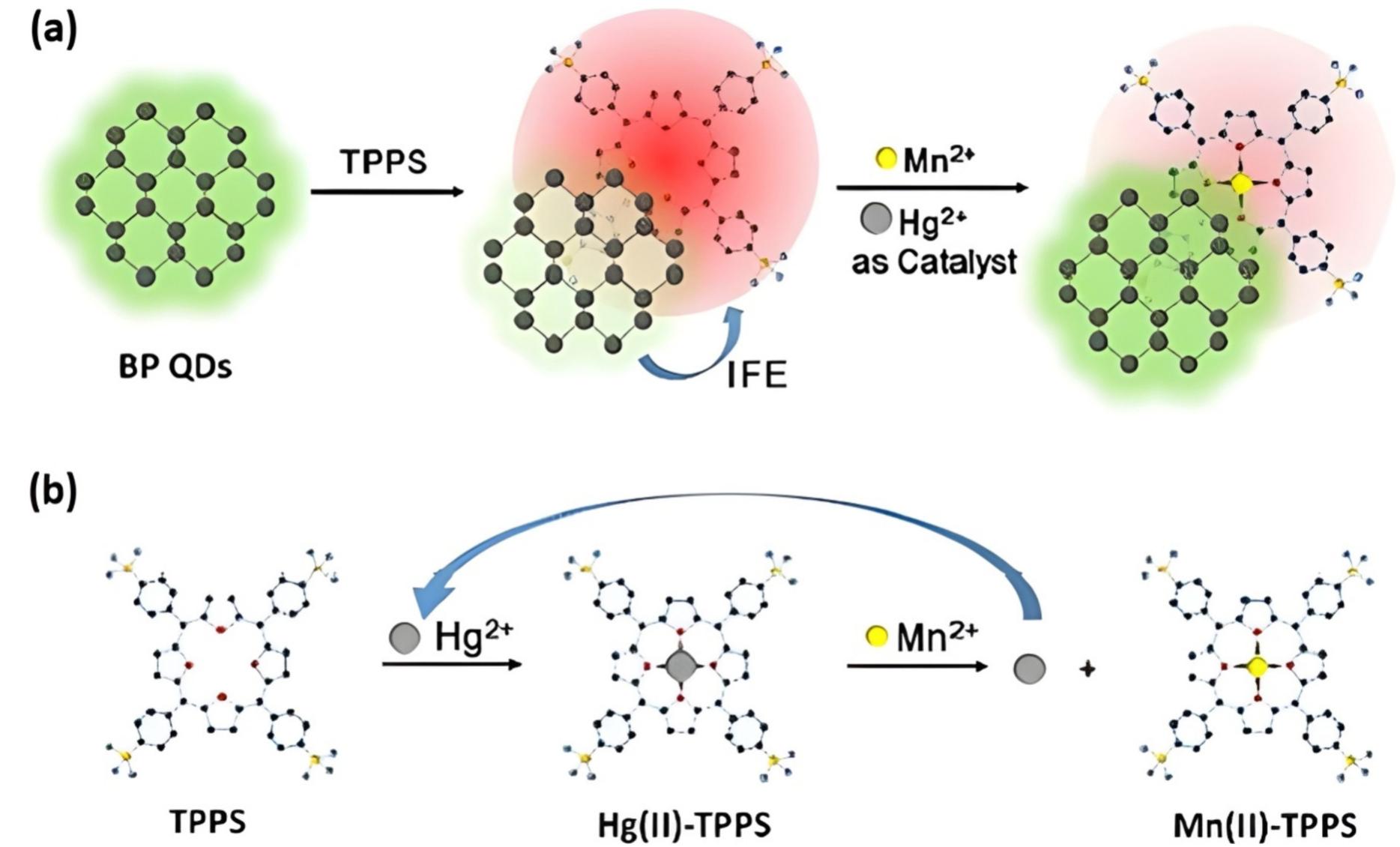 (a) pictorial illustration of fluorescence detection of hg?*