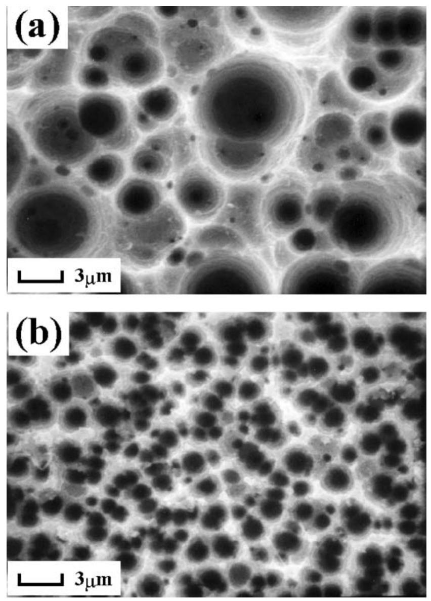 Sem images (top view) of ni-p blacks with pre-etch