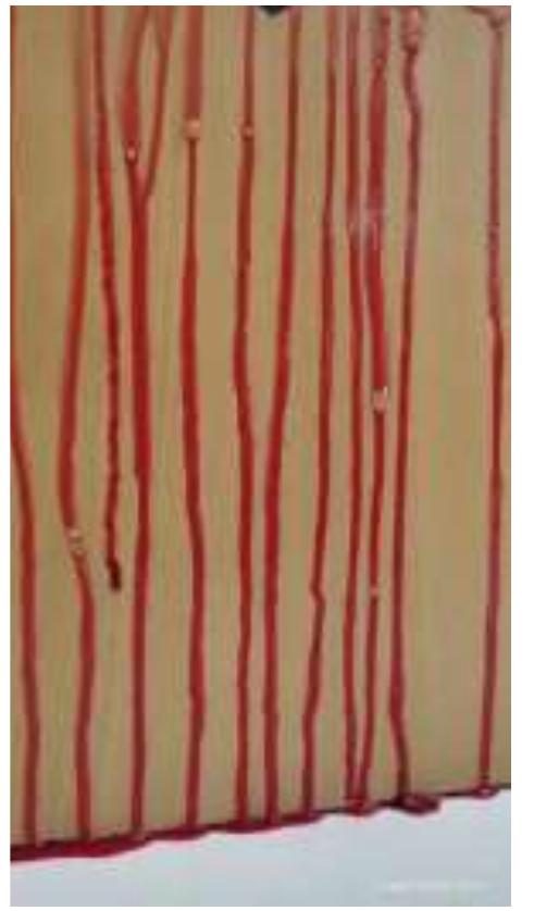 (PDF) AN EXPERIMENTAL ANALYSIS OF BLOOD IN FORENSIC SCIENCE: BLOOD ...