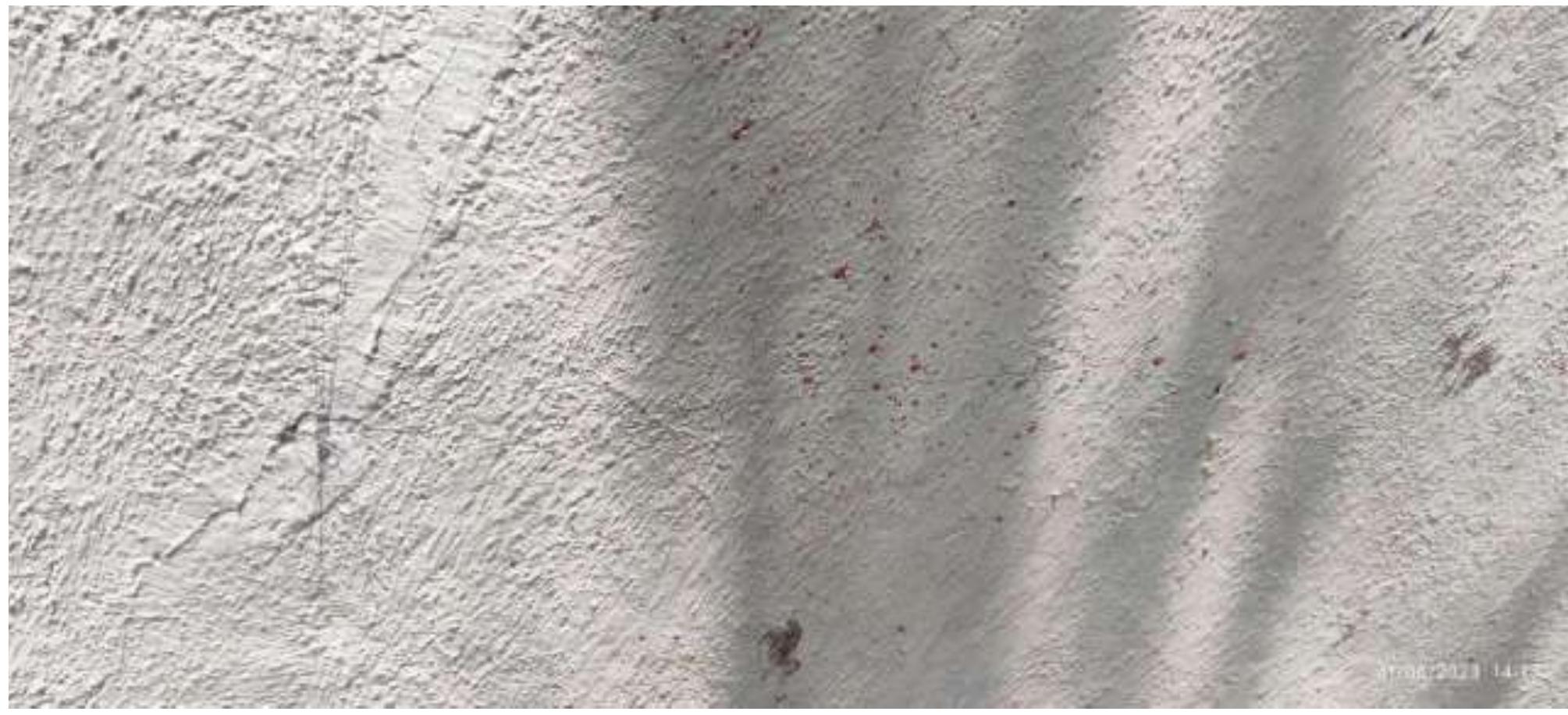 (PDF) AN EXPERIMENTAL ANALYSIS OF BLOOD IN FORENSIC SCIENCE: BLOOD ...