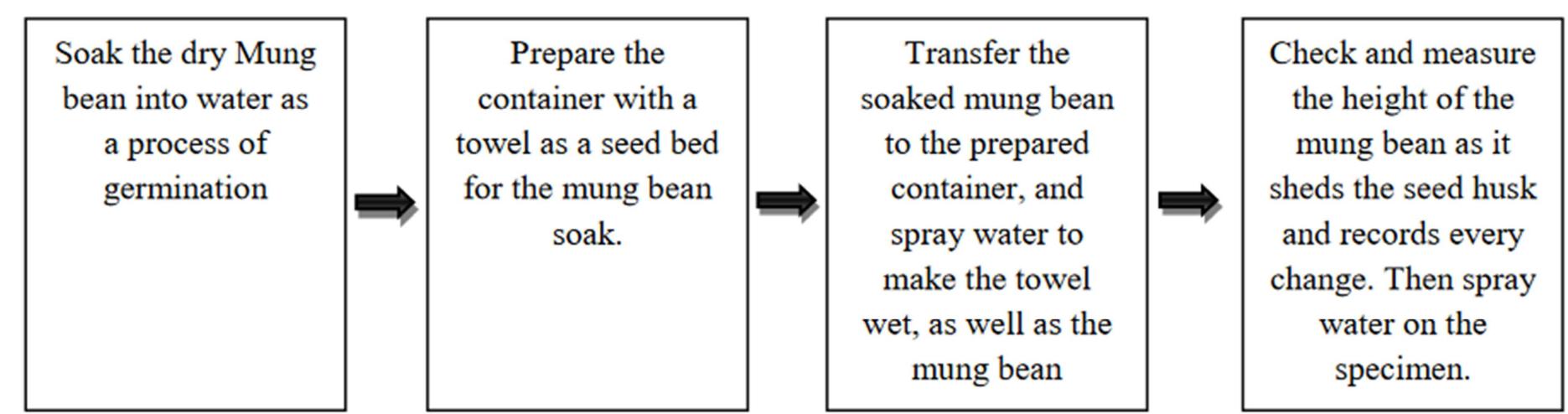 (PDF) Understanding growth patterns of mung beans (Vigna radiata ...
