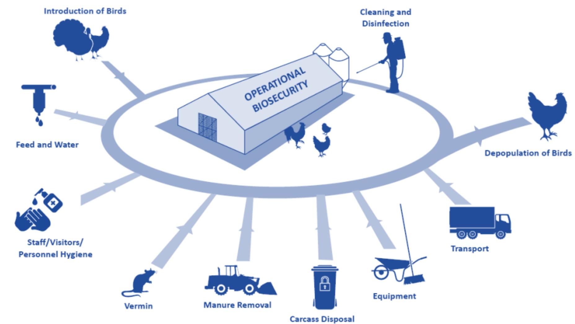 Picture 1. biosecurity measures on poultry farms [27].