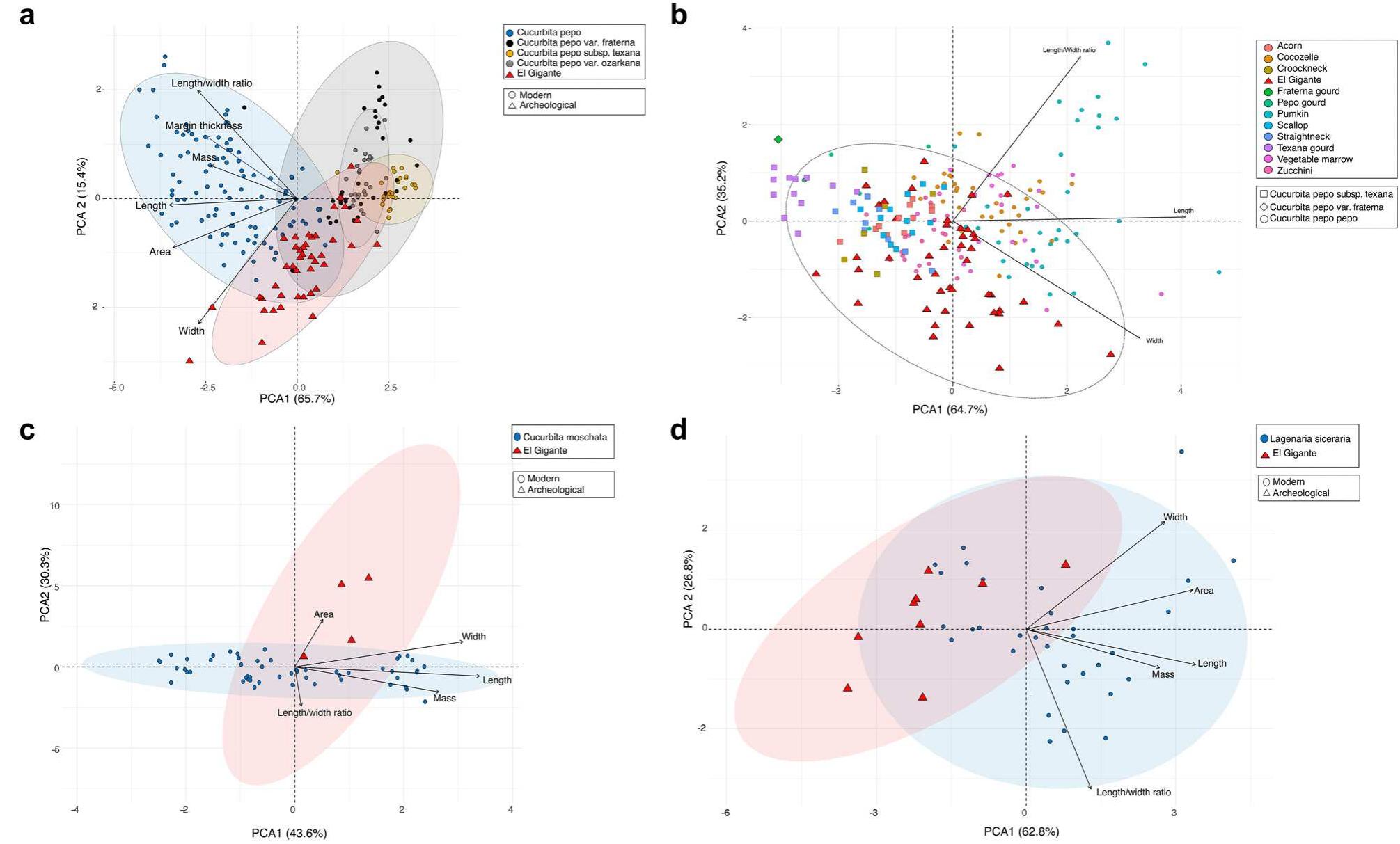 Principal component analysis biplots comparing size of