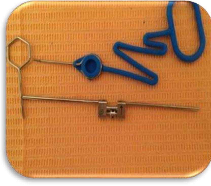 Mandibular arch expansion screw figur2: occlusal view