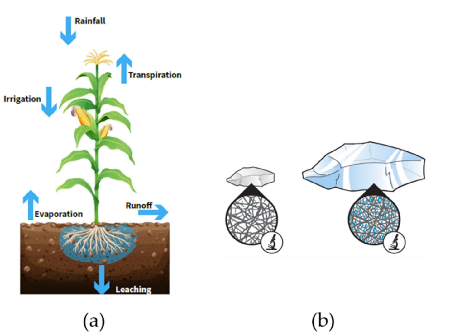 Figure 1 - from Spotlight on the Life Cycle of