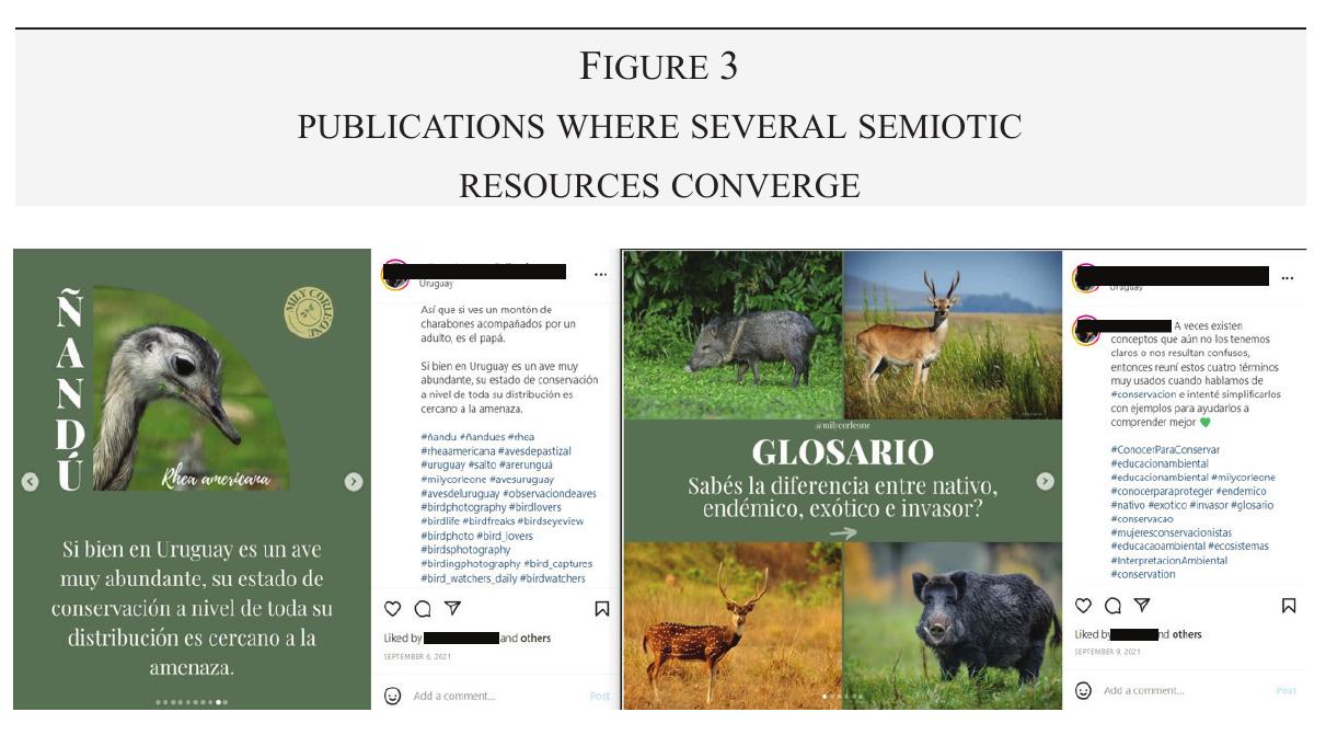 Source: self-made collage. screenshots taken from influencer