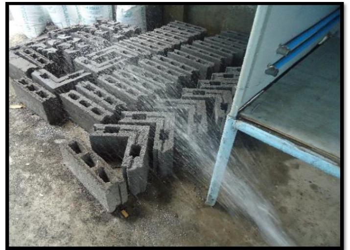 Curing of the mortarless interlocking hollow blocks the