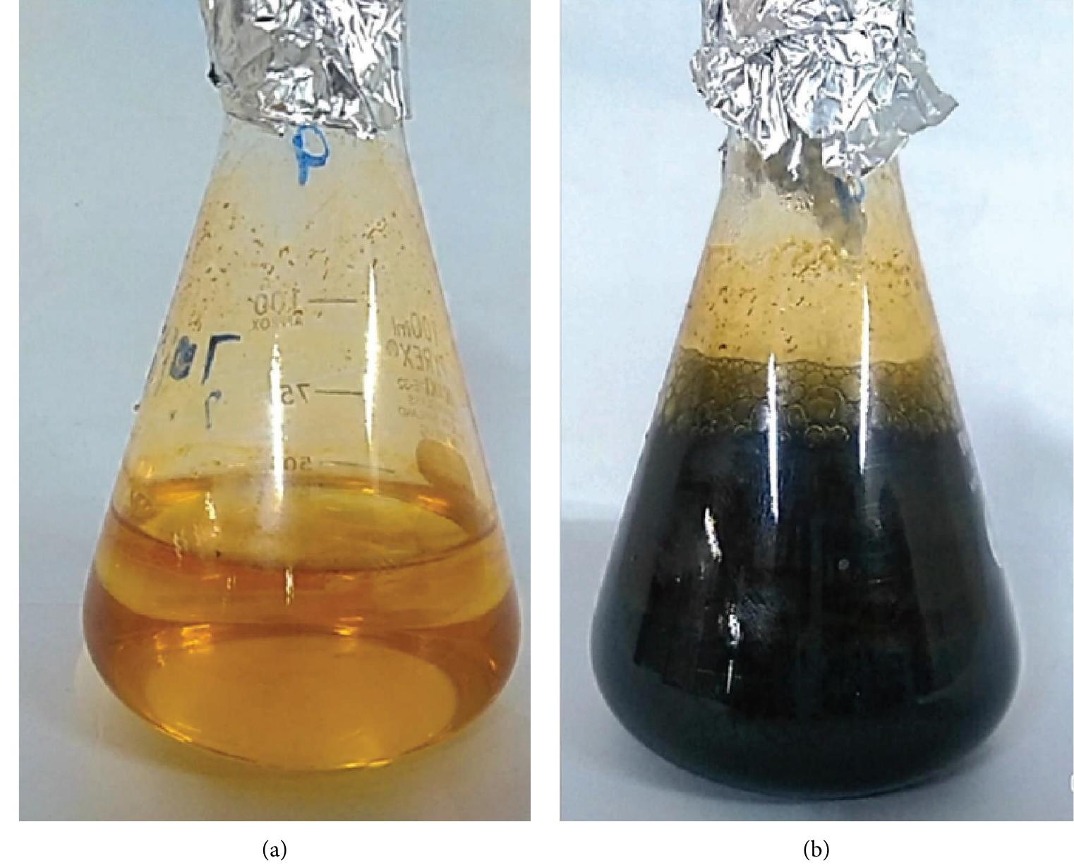 (a) bacterial supernatant and (b) color change on formation