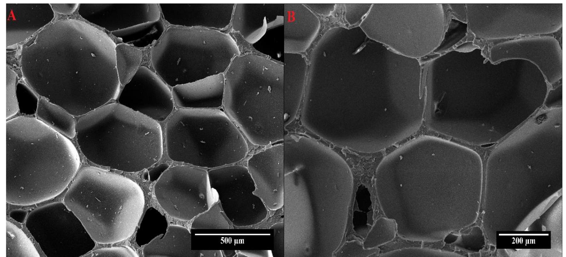 Typical closed-cell microstructure of hp250 (a) and hp200