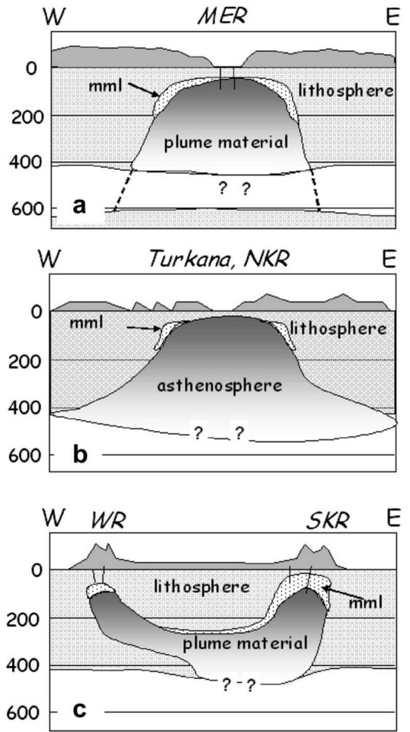 Representative cross-sections through the crust and upper