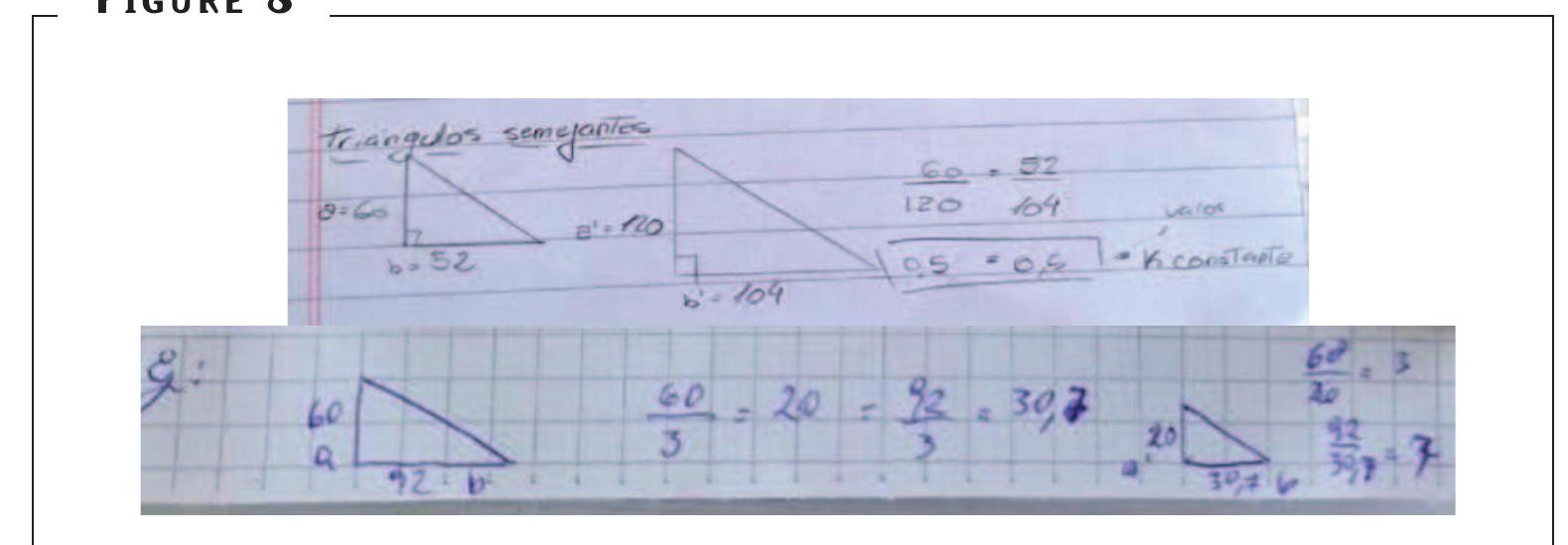 Examples of specific similar triangles proposed by students