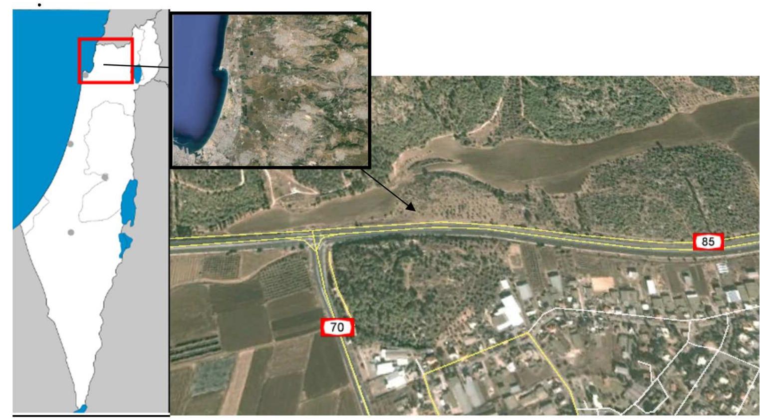 Location map of the ahihud site area. the israel antiquities