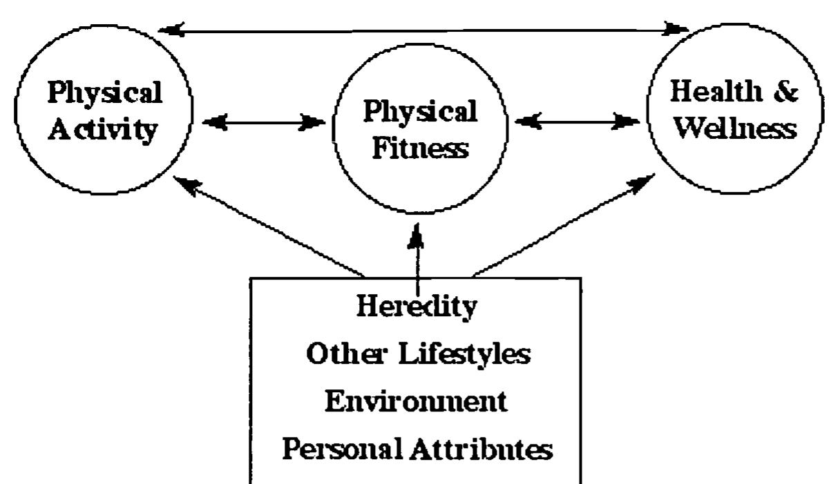 (PDF) Definitions: Health, Fitness, and Physical Activity