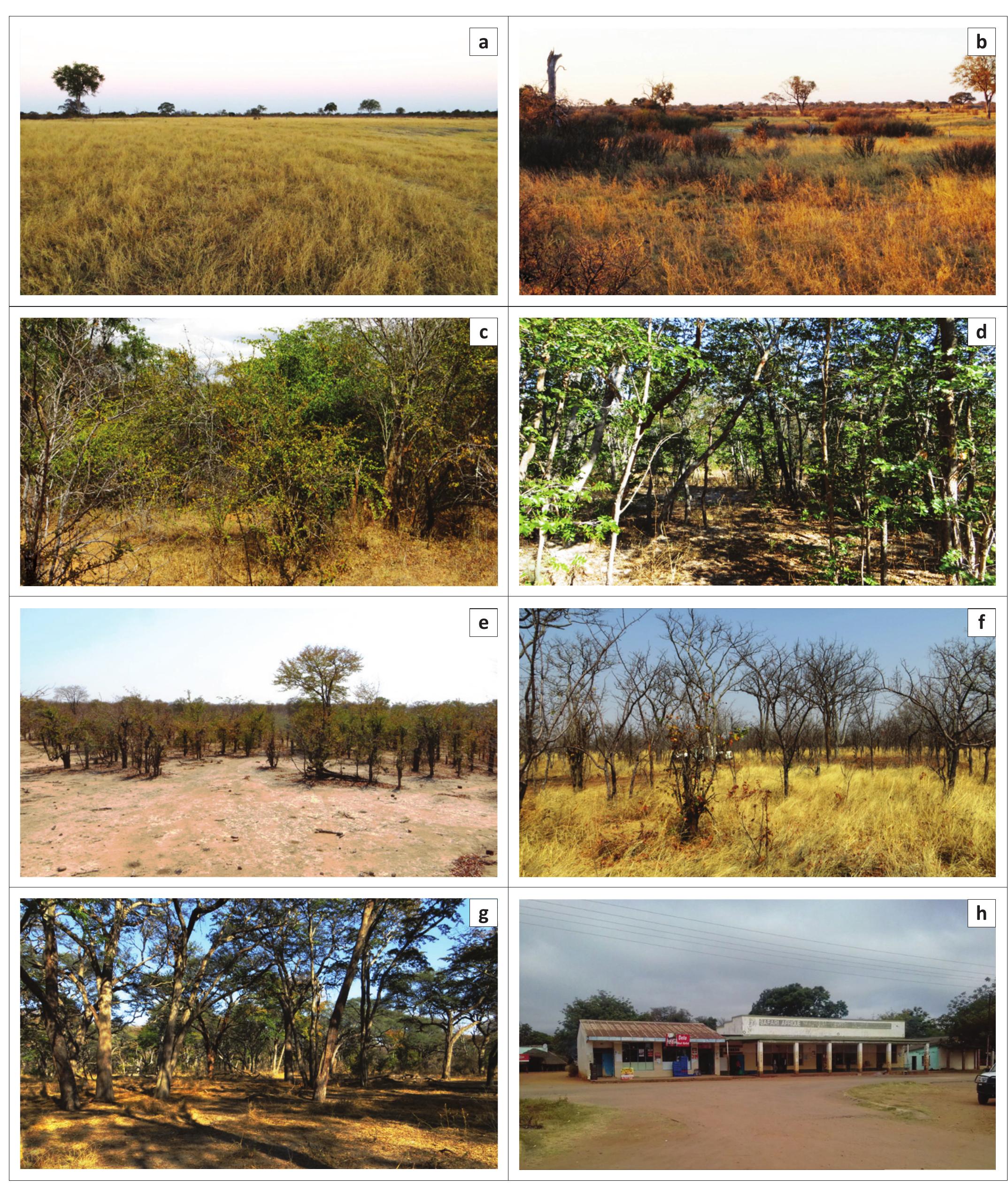 Examples of the vegetation structure classes and an