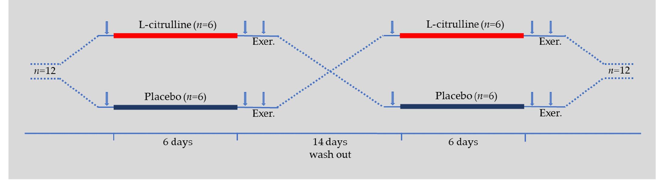 Experimental design. arrows indicate the data collection