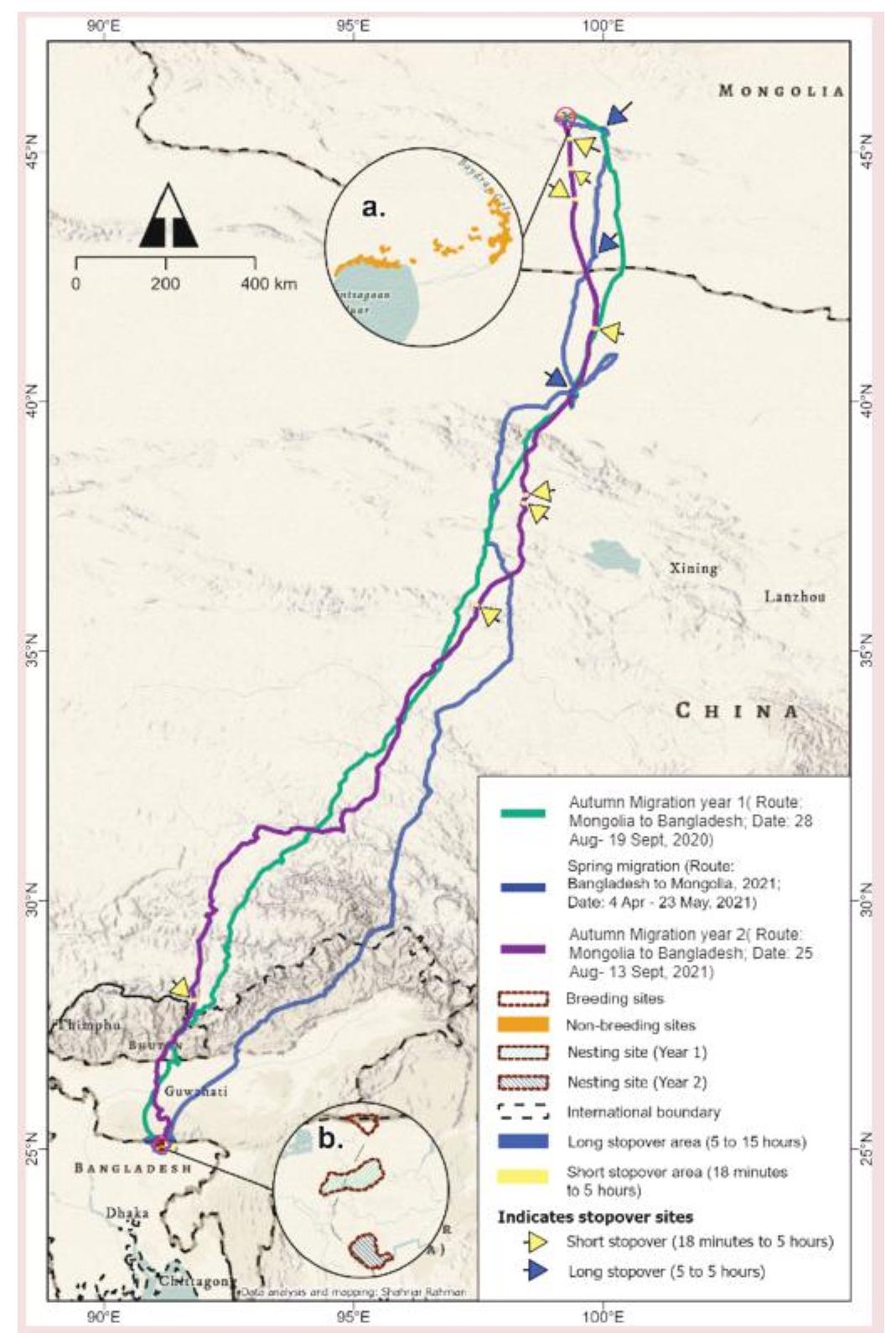 Migration route of the adult female pallas’s fish eagle