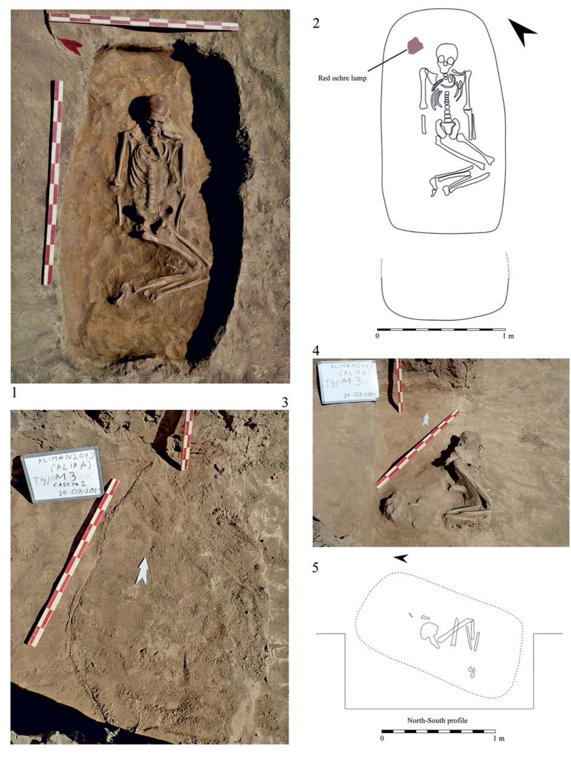 Figure 43 - from (2023) Bianca Preda-Bălănică, Marja Ahola
