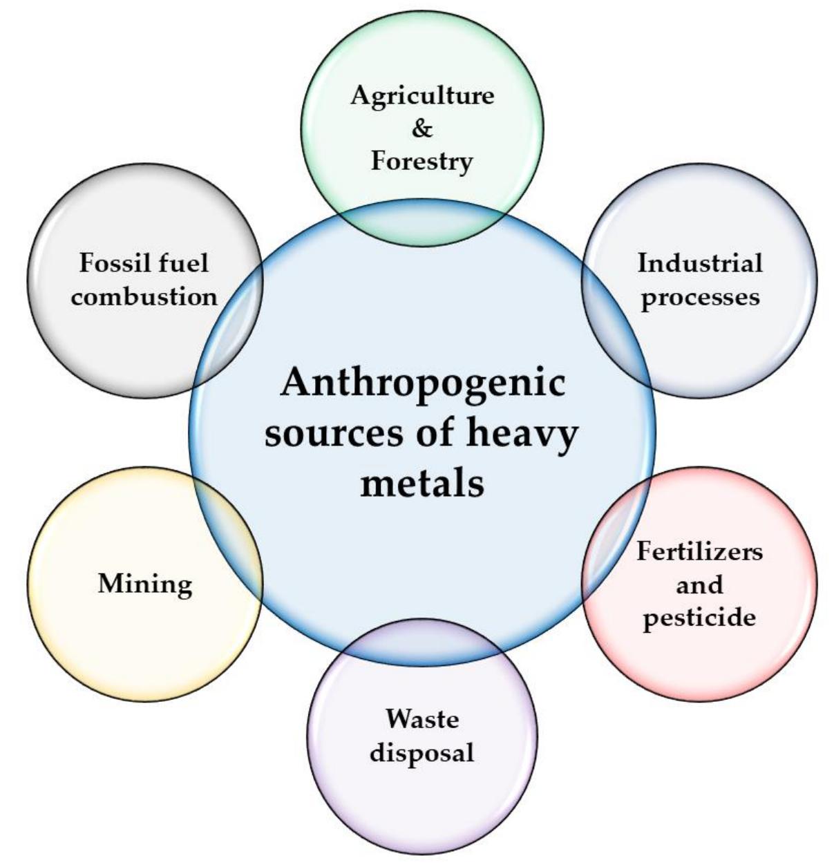 Anthropogenic sources of heavy metal pollution.