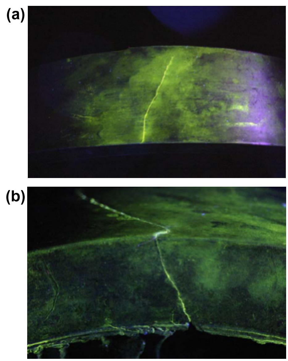 Image of magnetic fluorescent particles of the failed zone,