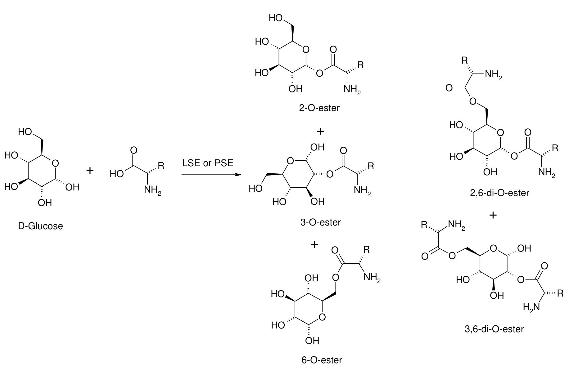 9. preparation of glyco-esters of n-acyl-amino acids. major